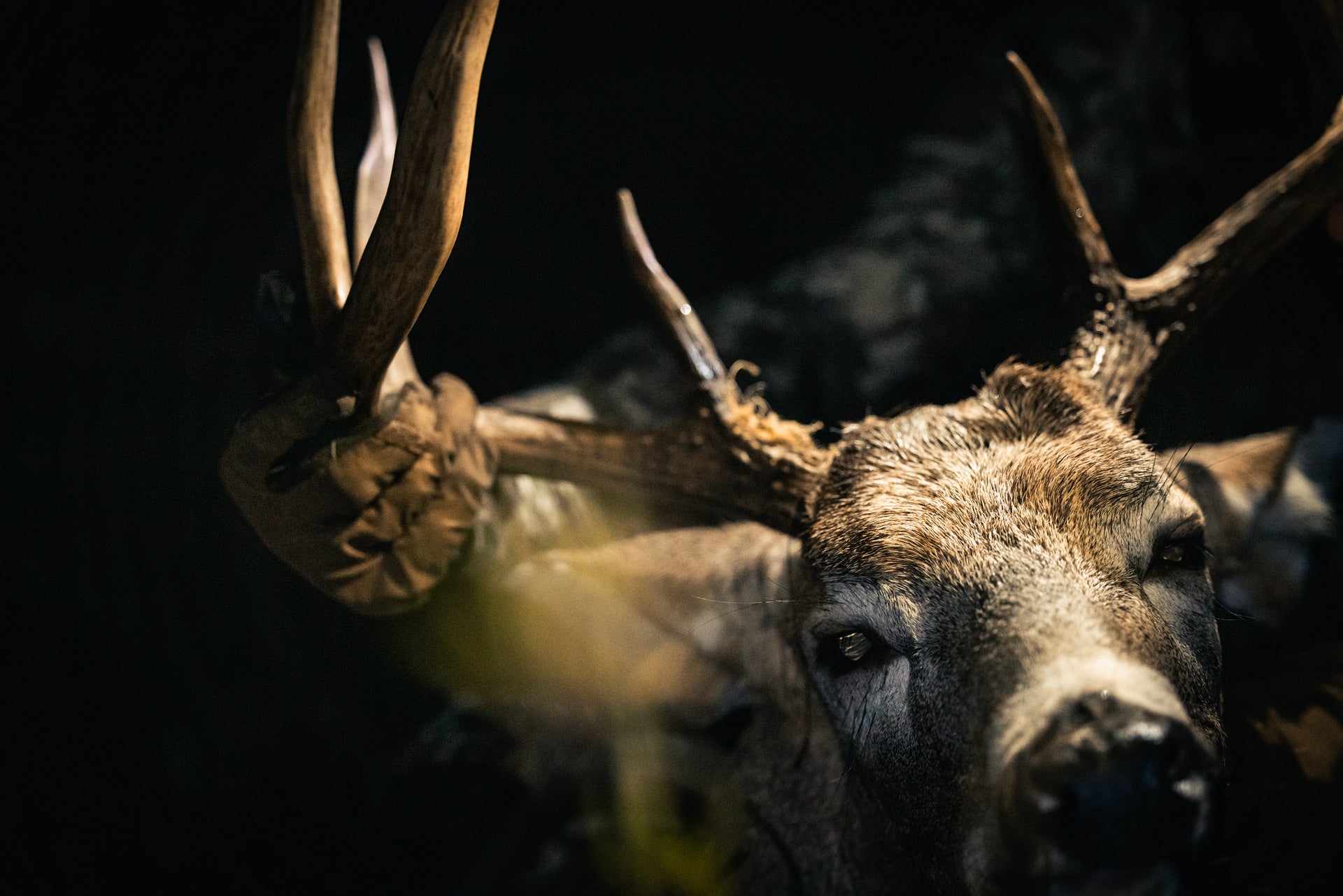 Spartan Forge Hunting App | The Only Mapping App You Need – SPARTAN FORGE