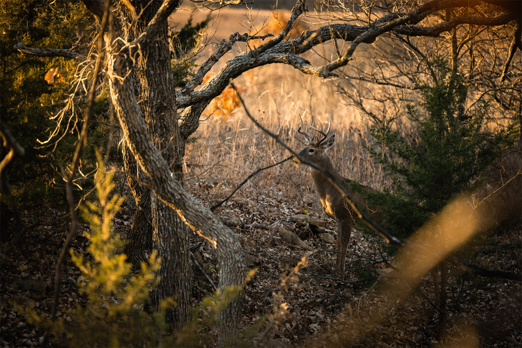 Spartan Forge Hunting App | The Only Mapping App You Need – SPARTAN FORGE